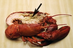Which part of a lobster is poisonous?