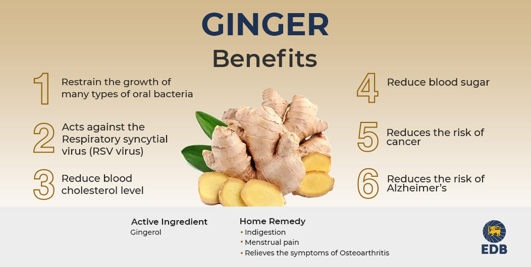 Which part of ginger is used as medicine?