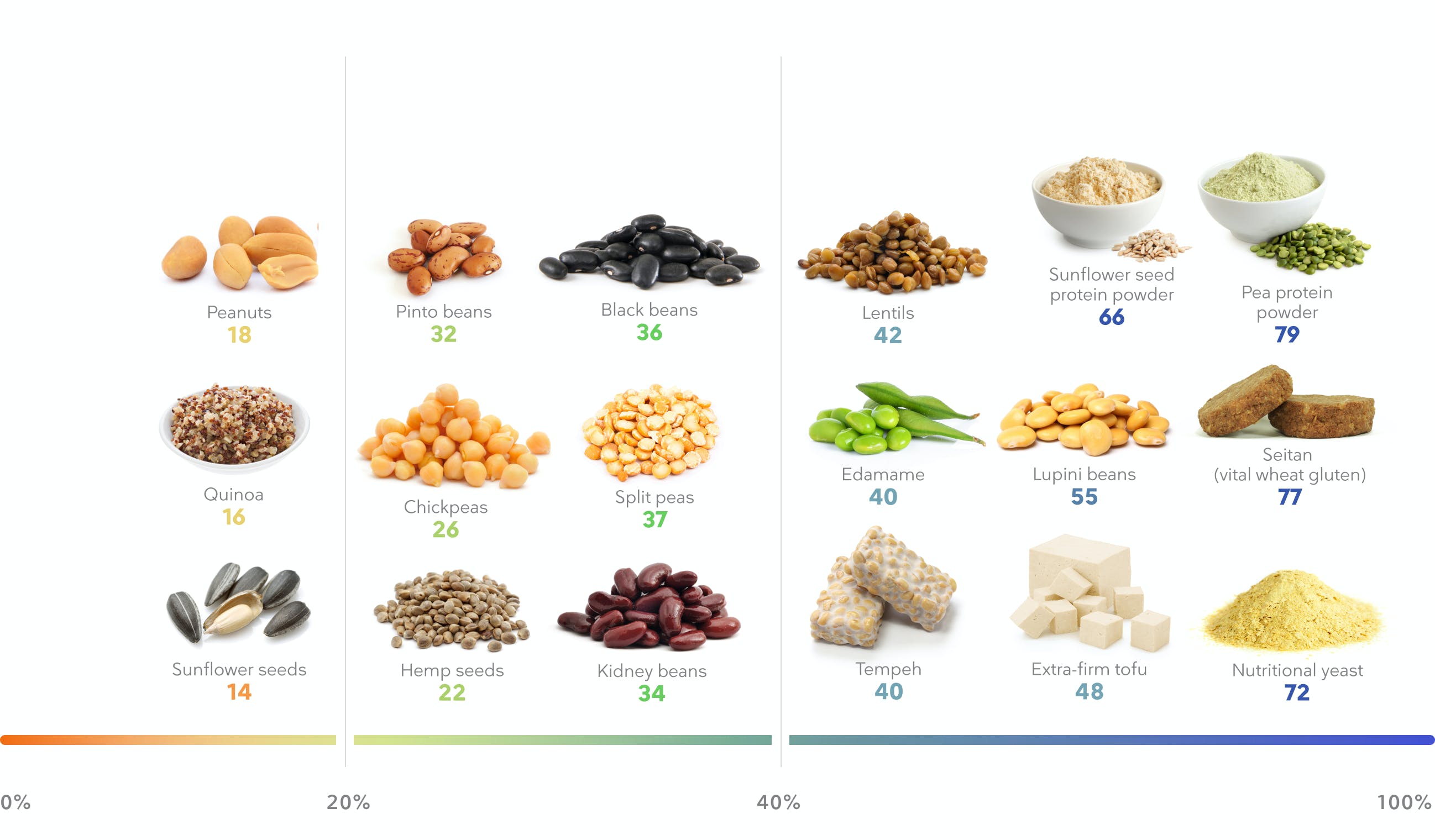 Which plant-based foods are highest in protein?