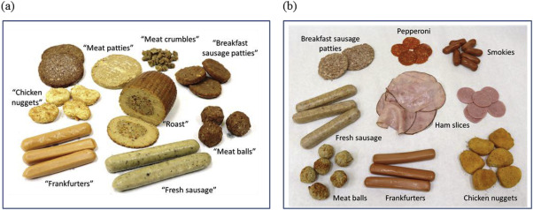 Which plant protein is most commonly used to replace meat?