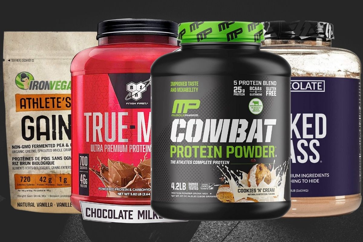 Which protein is best for weight gaining?