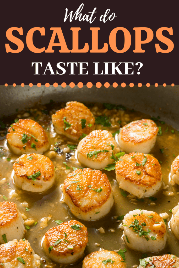 Which scallops are best?