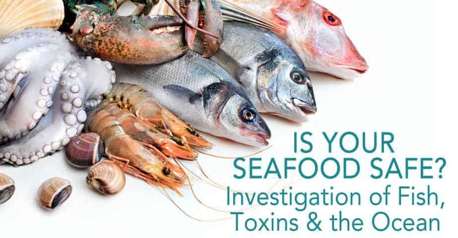 Which seafood is least toxic?