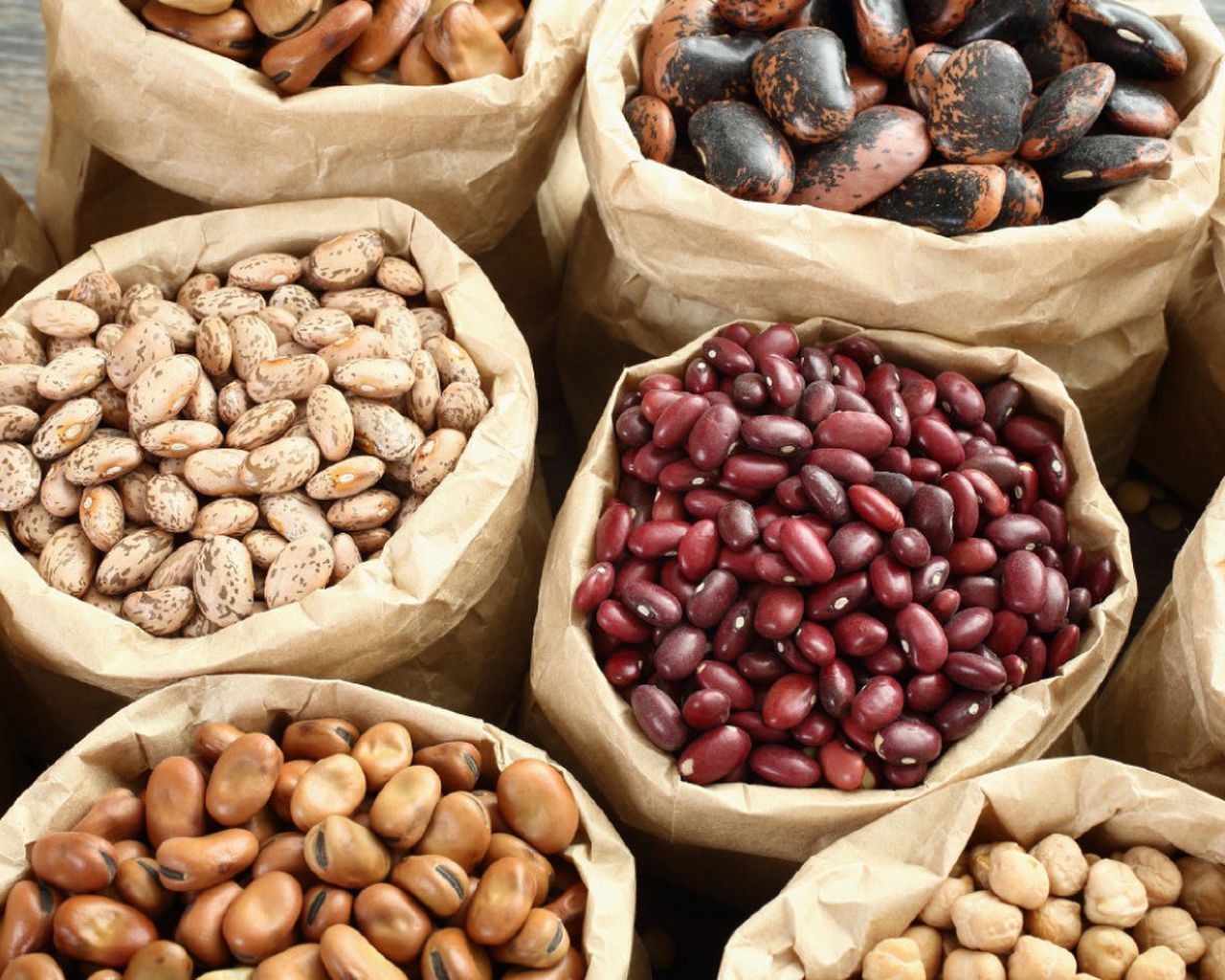 Which seeds do not have lectins?