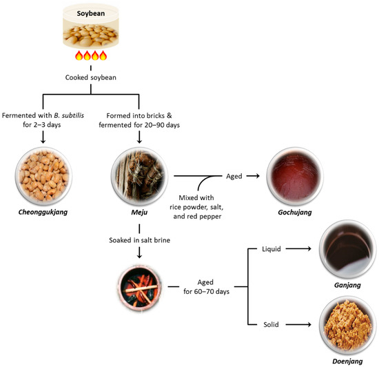 Which soy is fermented?