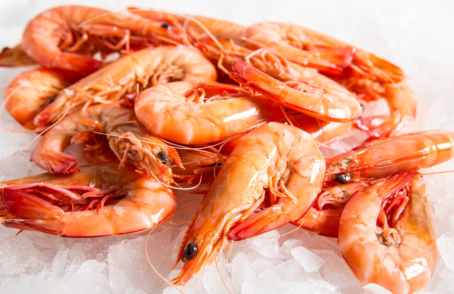 Which state is famous for prawns?