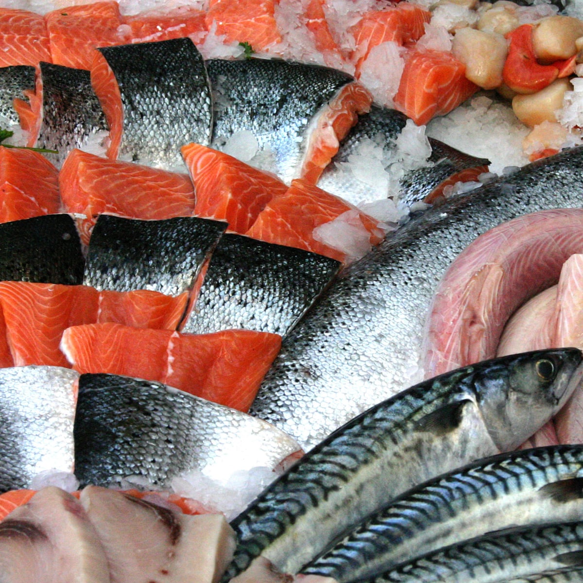 Which supermarkets sell British fish?
