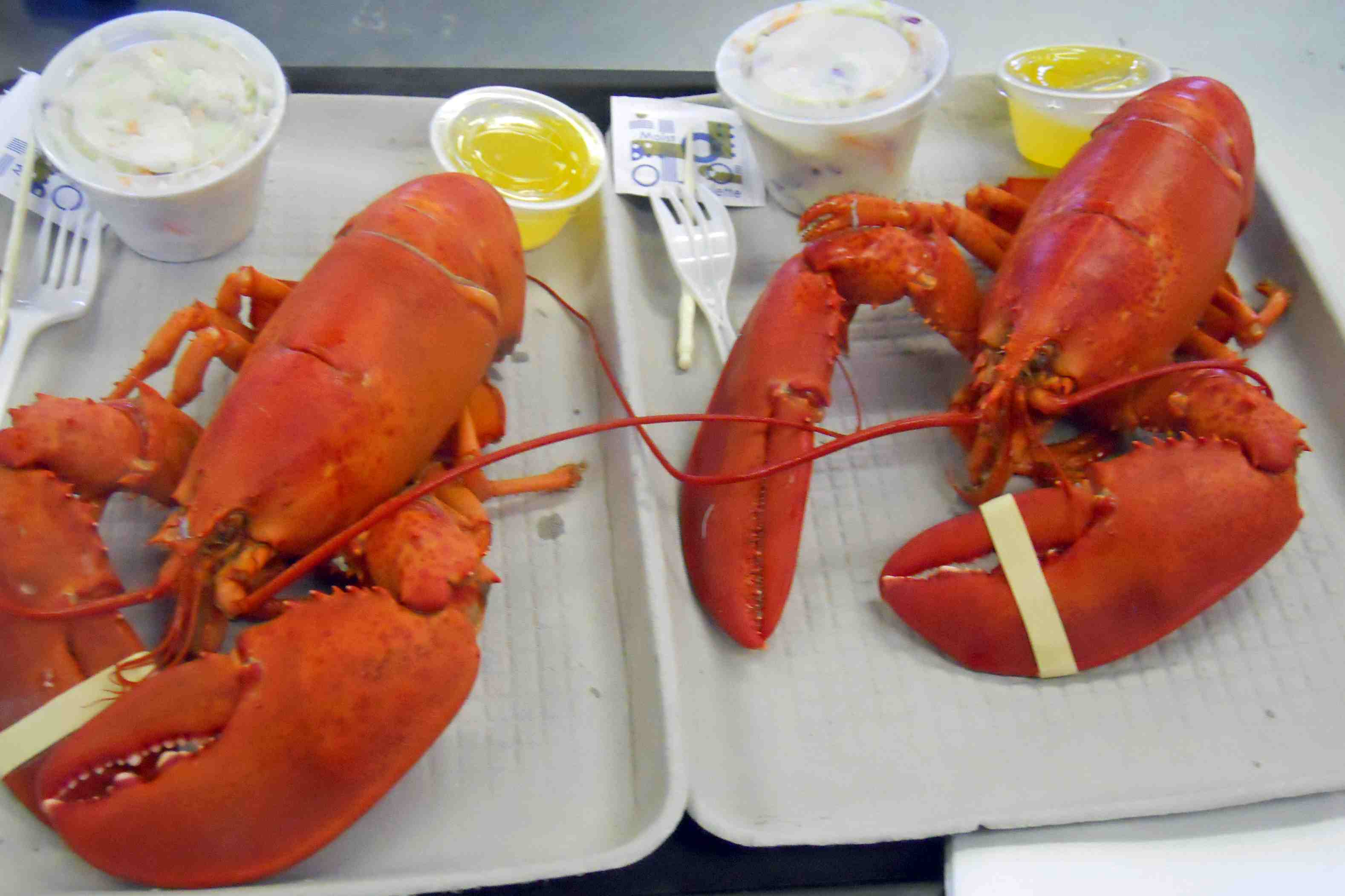 Which town in Maine has the best lobster?