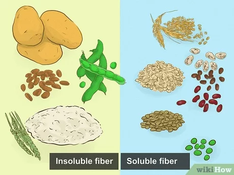 Which type of fiber causes gas?