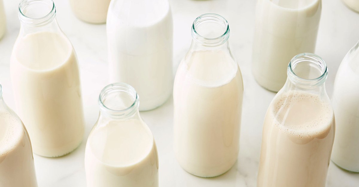 Which type of milk is the healthiest to drink?