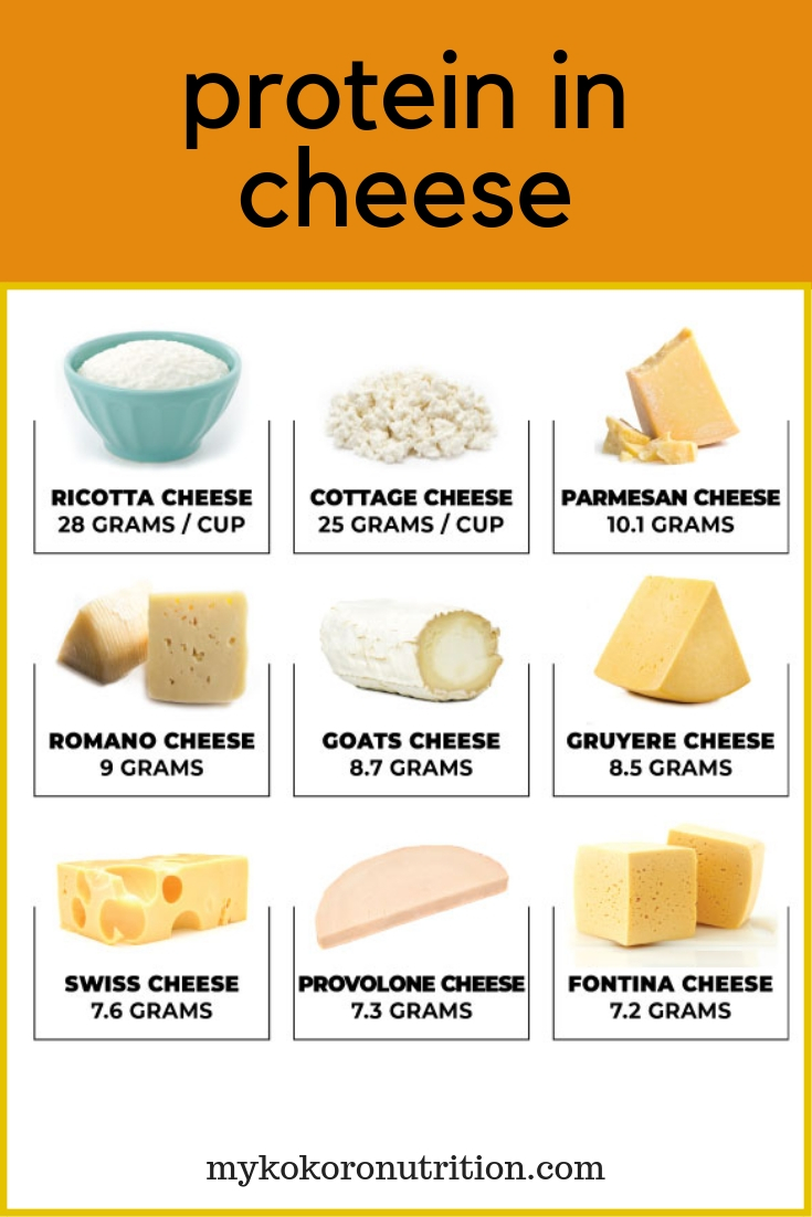 Which type of protein cheese is?