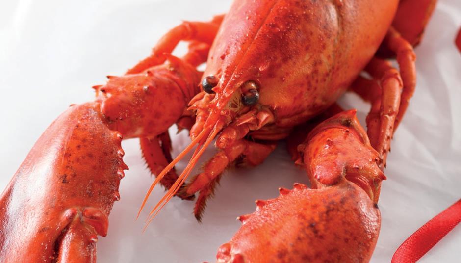Which UK supermarkets sell lobster?