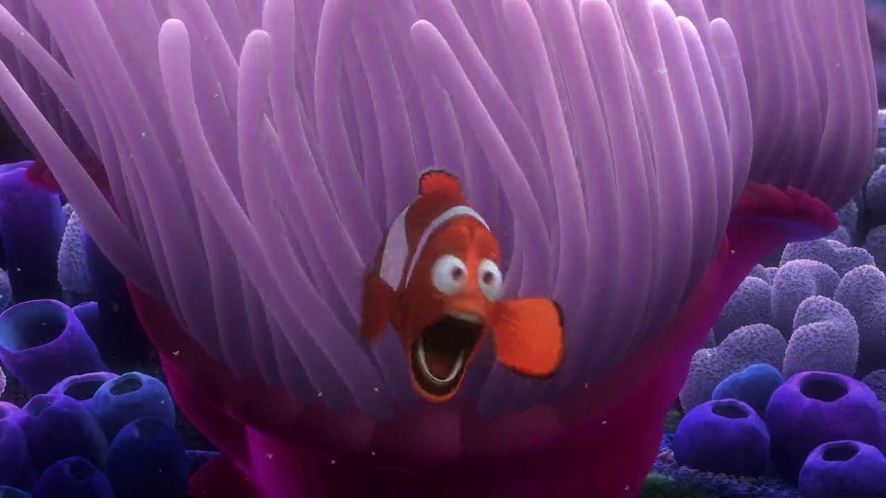 Who died from Finding Nemo?