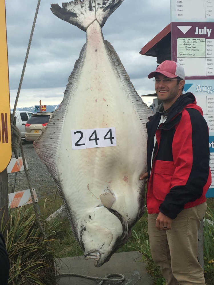 Who is the pound leader for halibut?