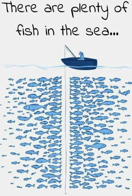 Who made the quote there are plenty of fish in the sea?