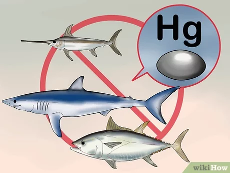 Who should avoid eating fish?