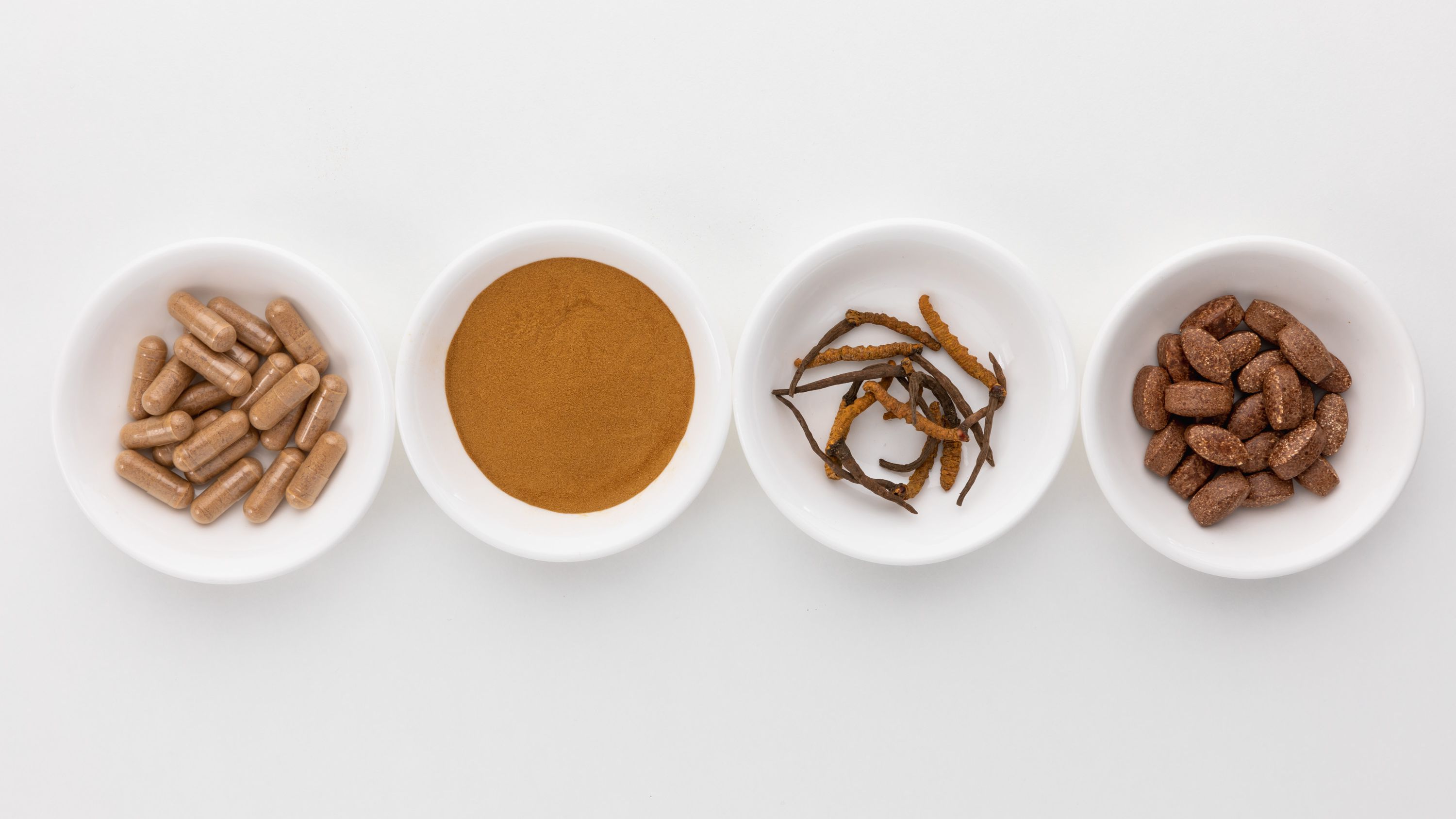 Who should not take Cordyceps?