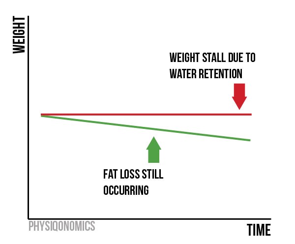 Why am I not losing weight after cutting calories?