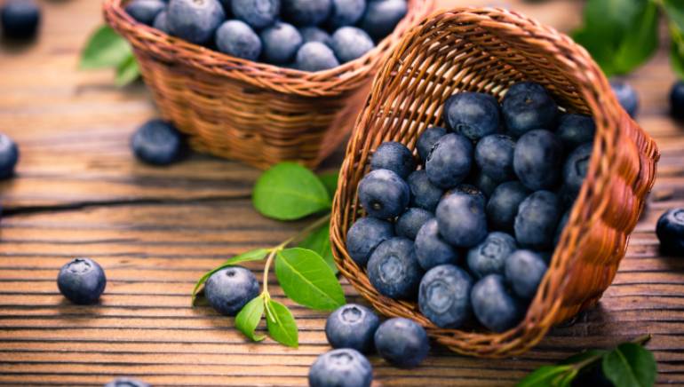 Why are blueberries good for muscle?
