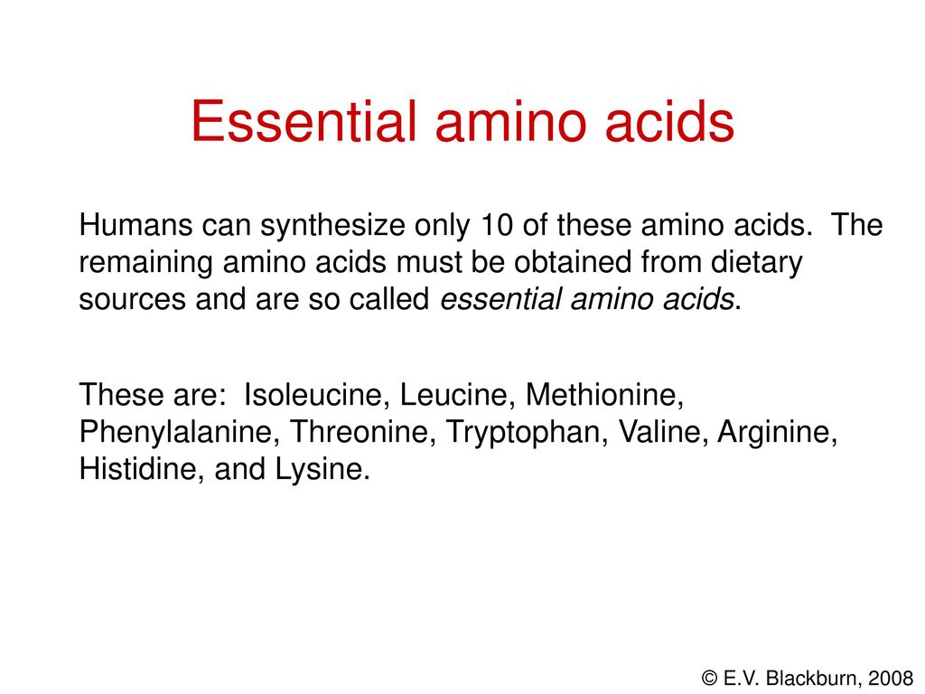 Why are essential amino acids called essential?