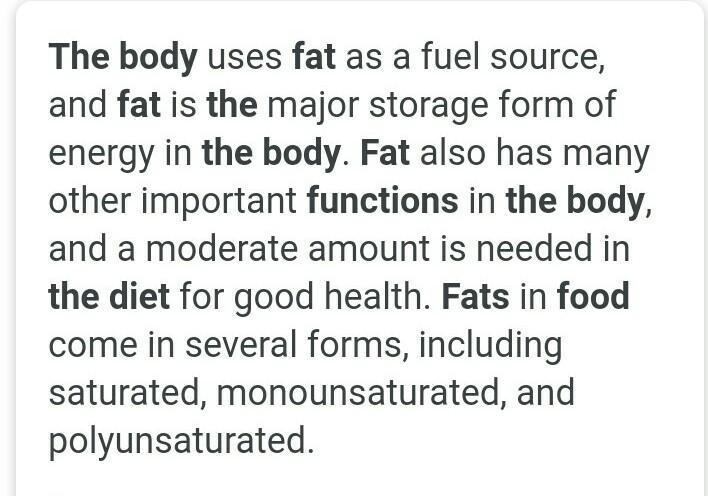Why are fats important for the body answer?