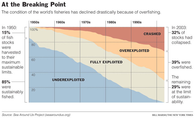 Why are fish stocks in the ocean decreasing?