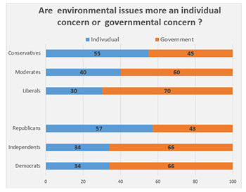 Why are individuals responsible for the environment?