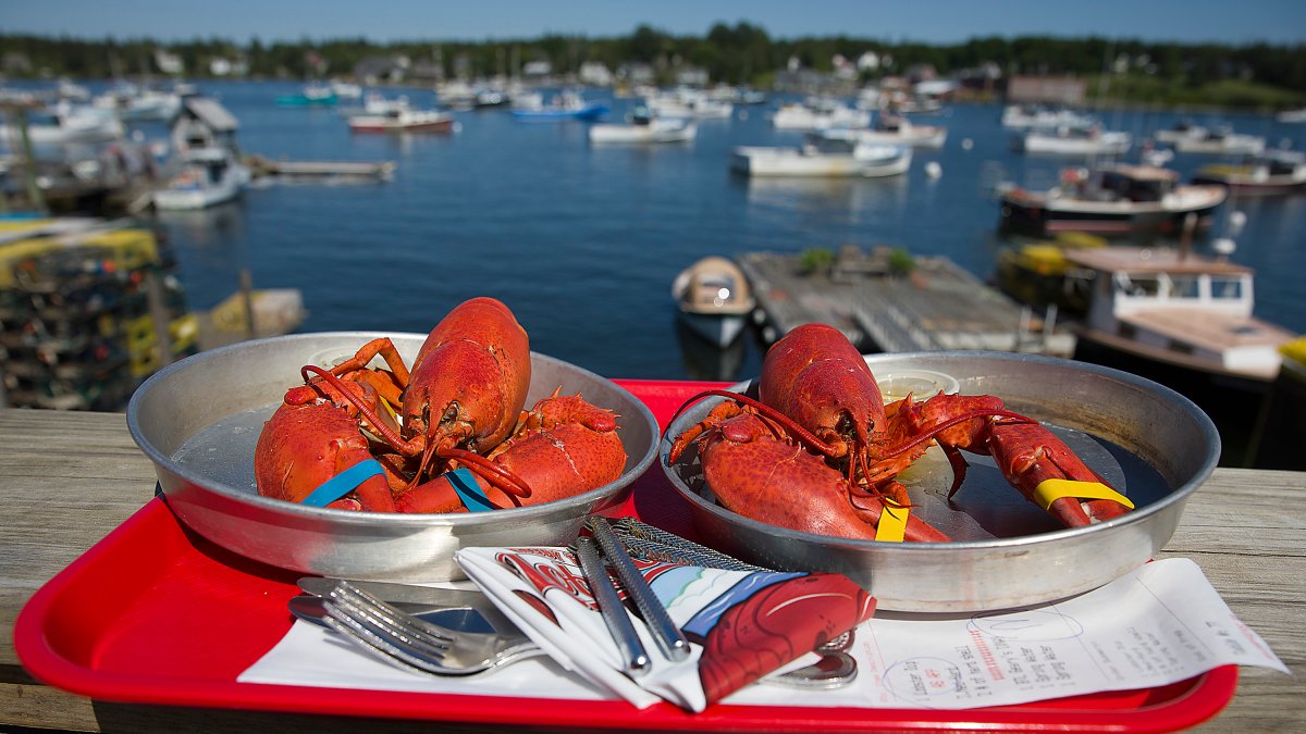 Why are lobsters so expensive in 2021?