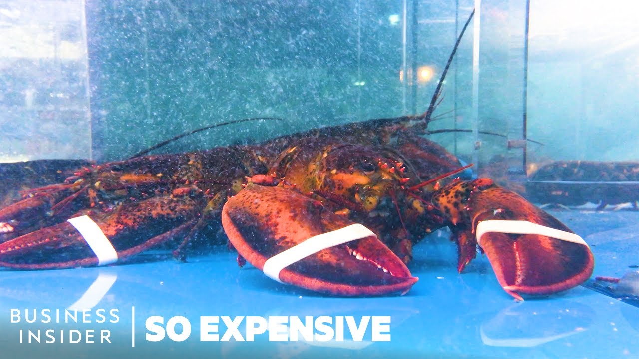 Why are lobsters so expensive?