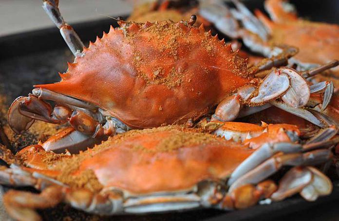 Why are Maryland crabs so good?