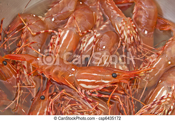 Why are prawns red when alive?