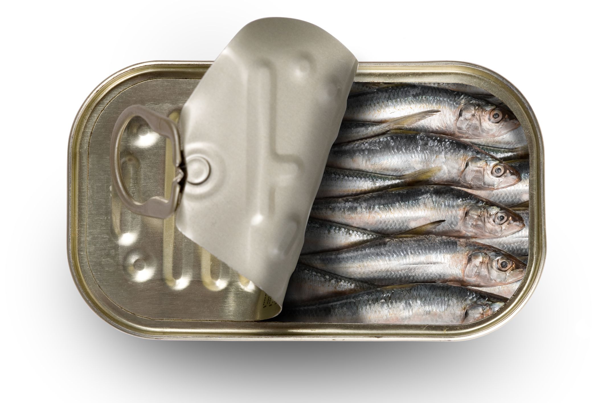 Why are sardines so popular?