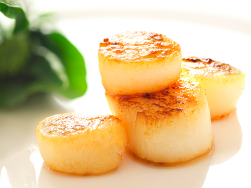 Why are scallops bad for you?