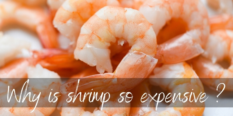 Why are shrimps so expensive?