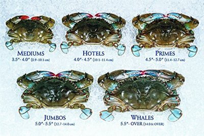 Why are soft-shell crabs more expensive?