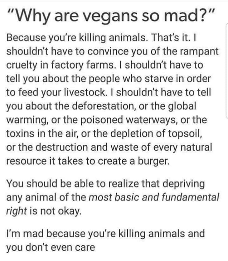 Why are vegans so angry about everything?