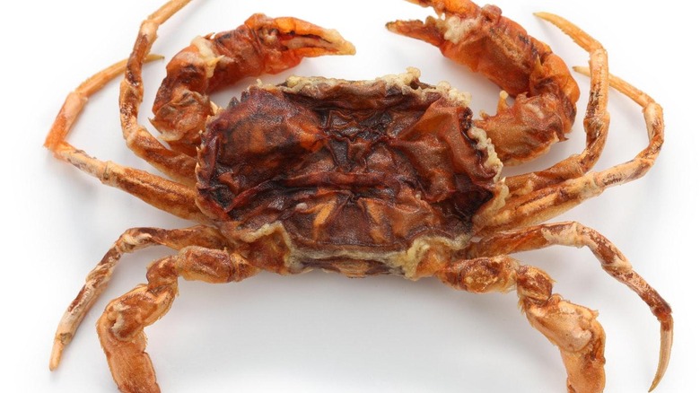 Why can you eat soft shell crab shell?