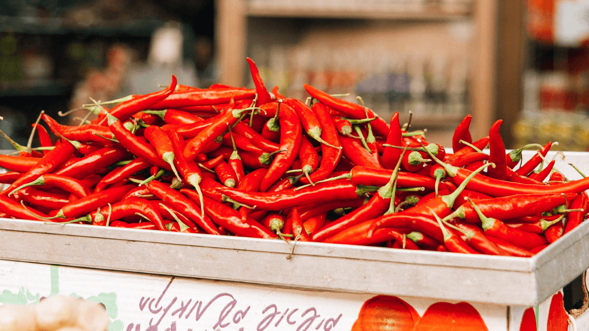 Why can't Europeans eat spicy food?