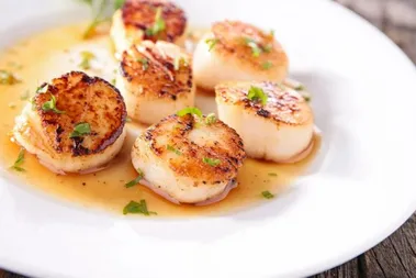 Why can't vegans eat scallops?