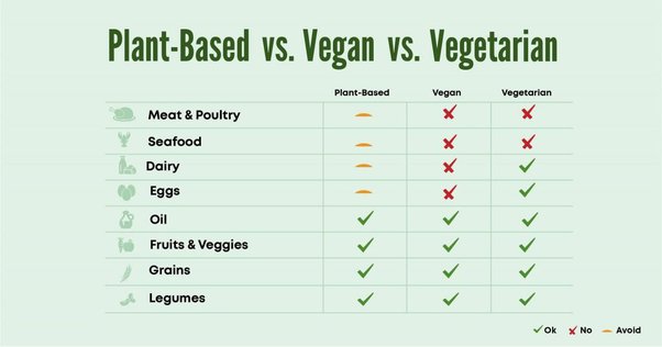 Why can't you eat eggs on a plant-based diet?