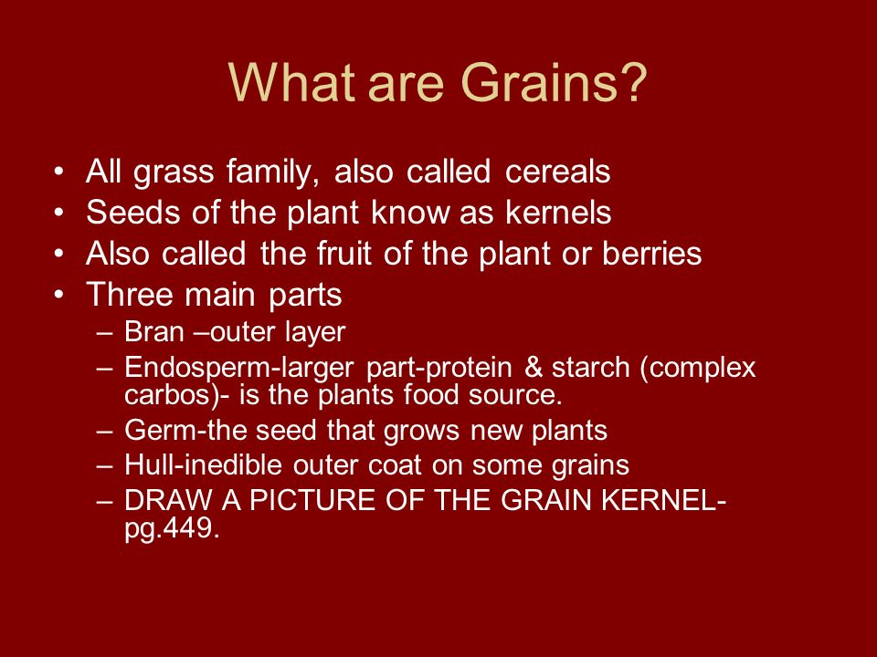 Why cereals are also called grains?