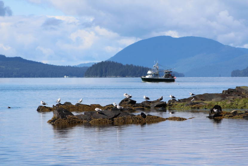 Why did Alaska shut down fishing?