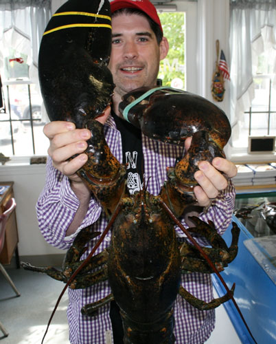 Why do big lobsters taste bad?