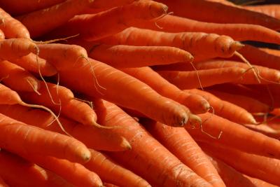 Why do carrots make me gassy?