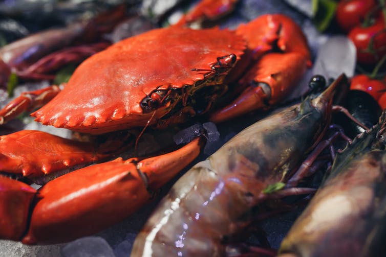 Why do crab shells turn red when cooked?