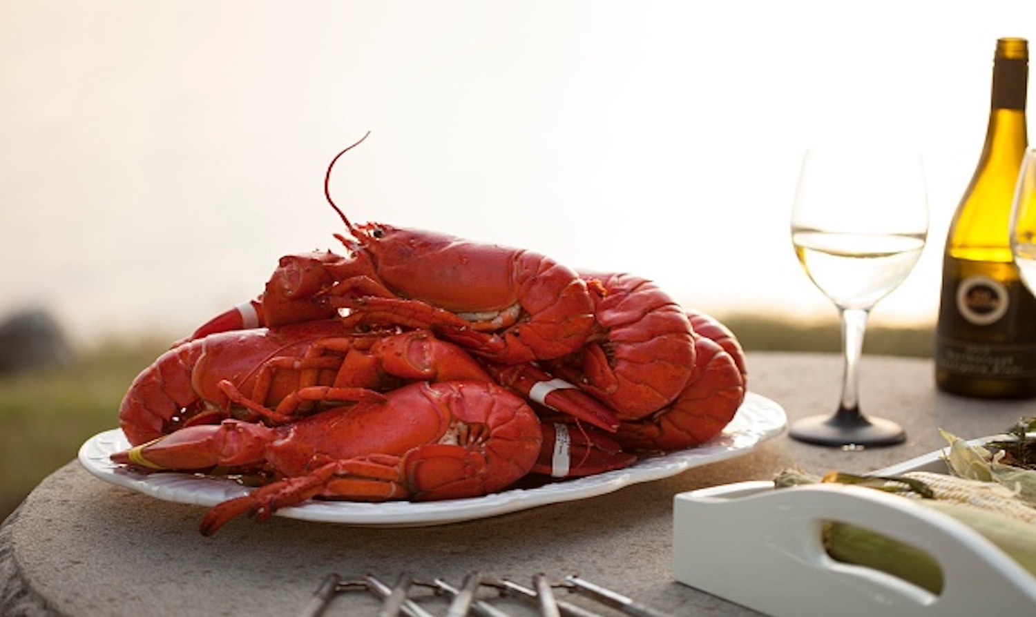 Why do crustaceans turn red when cooked?