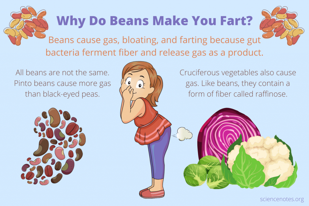Why do I fart every time I eat beans?