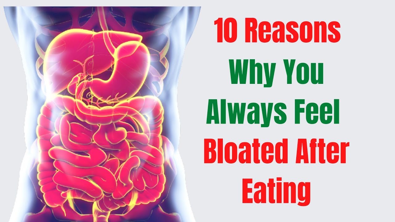 Why do I get bloated so fast after eating?