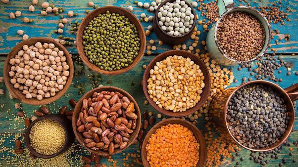 Why do lentils not digest?