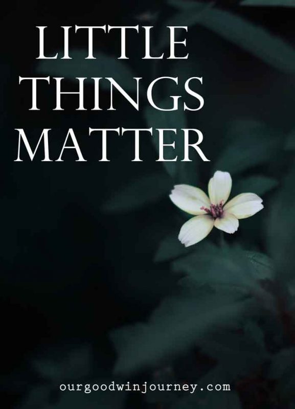 Why do little things matter in life?